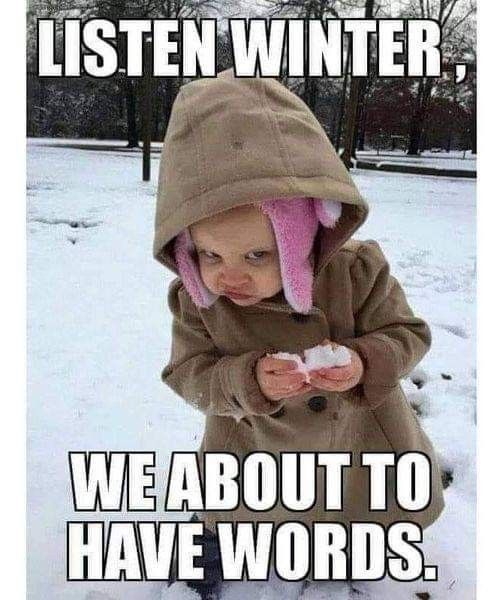 Australian Winter Memes