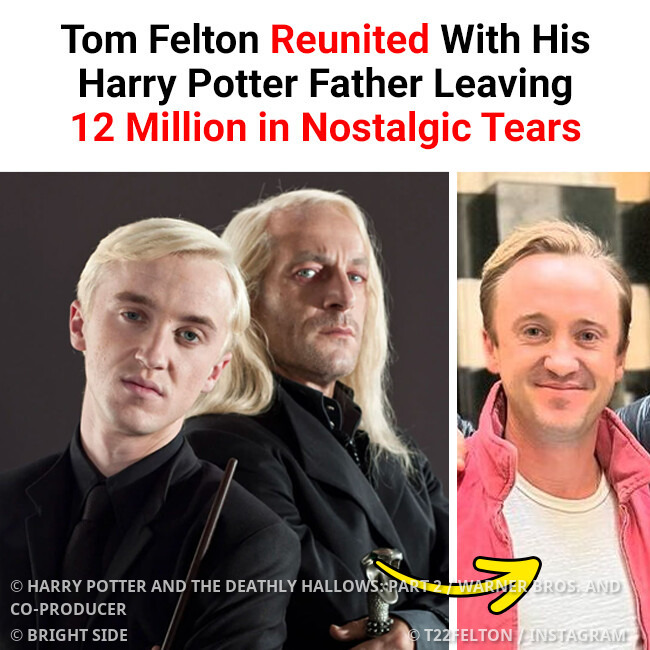 Harry Potter Malfoy Father