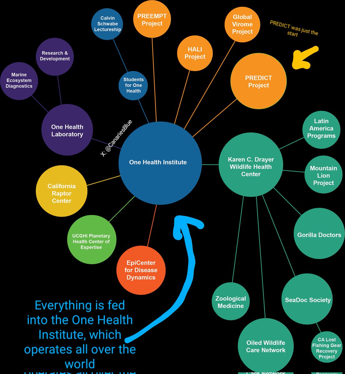 Blue Canaries's Threads – Thread Reader App