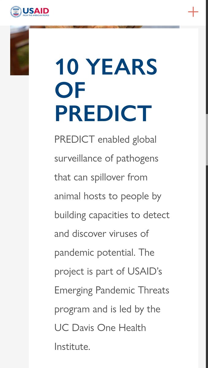 Thread by @CanariesBlue on Thread Reader App – Thread Reader App