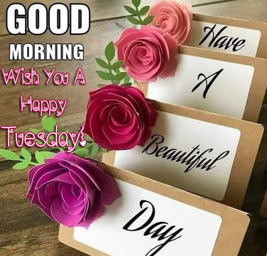 Beautiful Tuesday Good Morning Pictures Photos And Images For