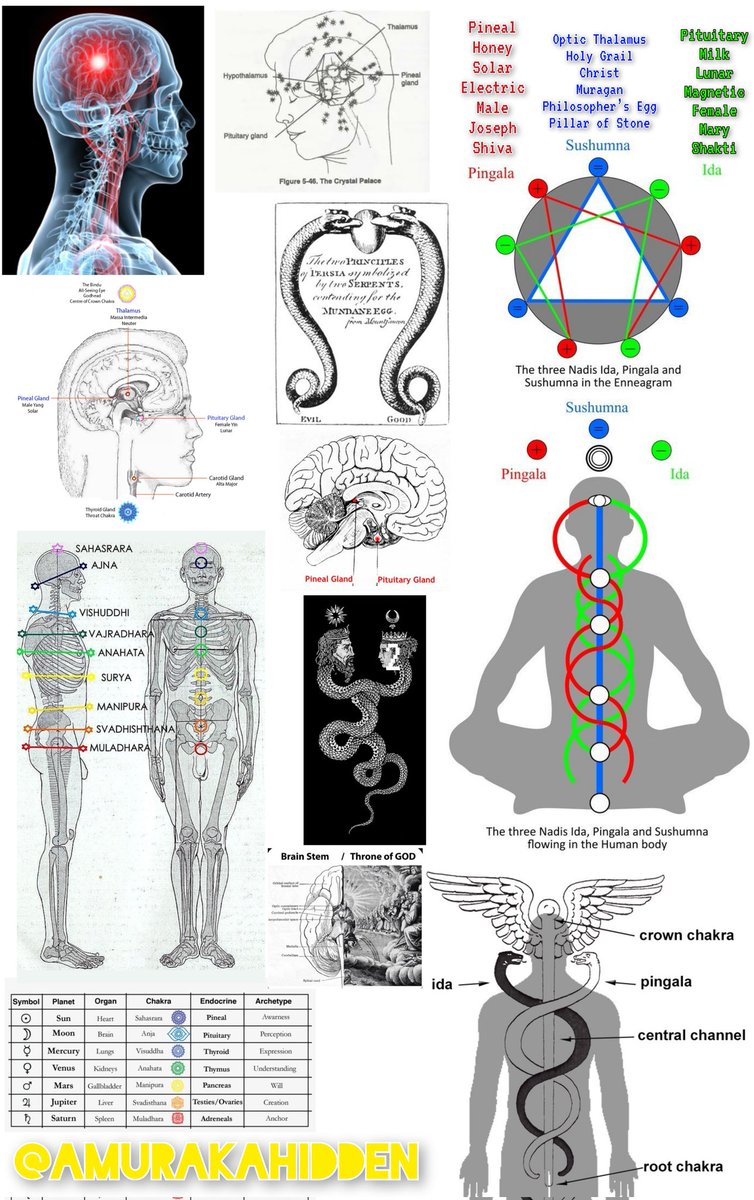 Manly P. Hall on the Sacred Secretion "Every organ of the physical body ...