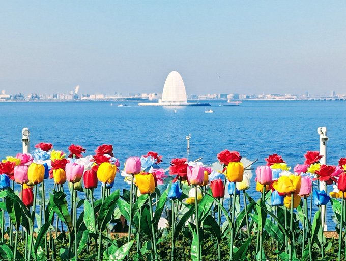 kinaba(@kinaba) - Twilog