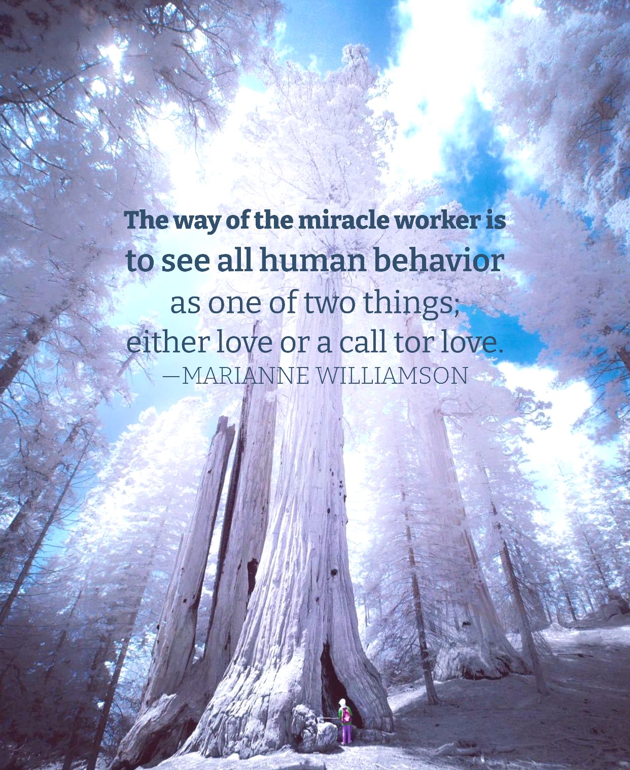 The Miracle Worker Quotes