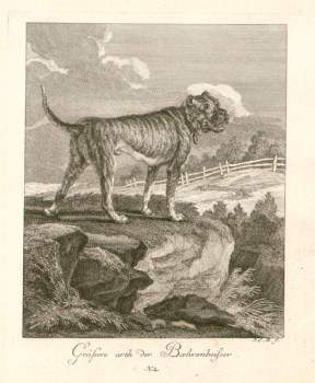 Thread by @PedroHTunes on Thread Reader App – Thread Reader App