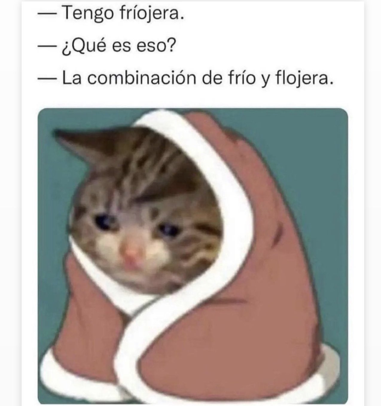 Memes De Que Frio
