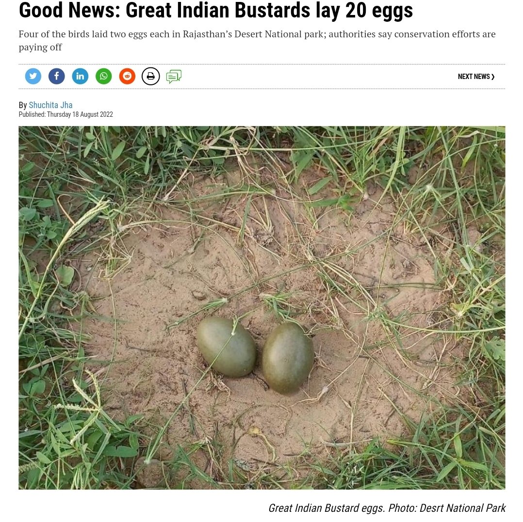 It is the National Bird Day today. So we're not talking about the ...