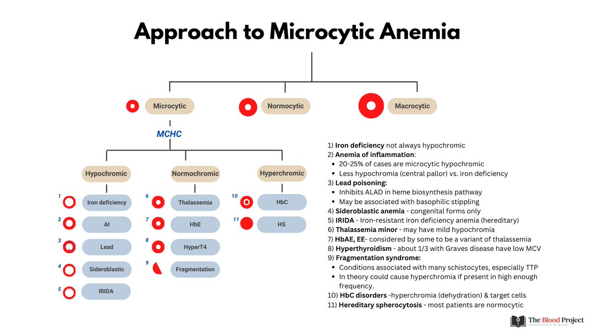 1/2 CASES I tweeted two CBCs from today's clinic asking for the ...