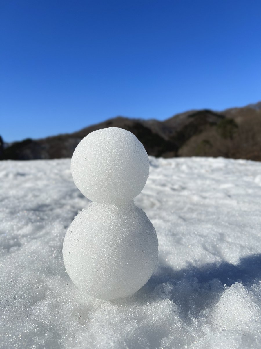 あみたろ │ 小春音アミ公式(@amitaro_utau) - Twilog