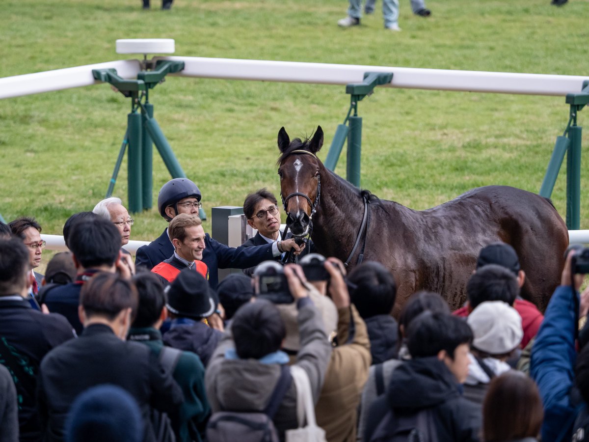 【競馬】仏のルメートル騎手がJRA初勝利を挙げる！ 京都5R・3歳未勝利をエラトーで制す！ – ウマ娘まとめちゃんねる