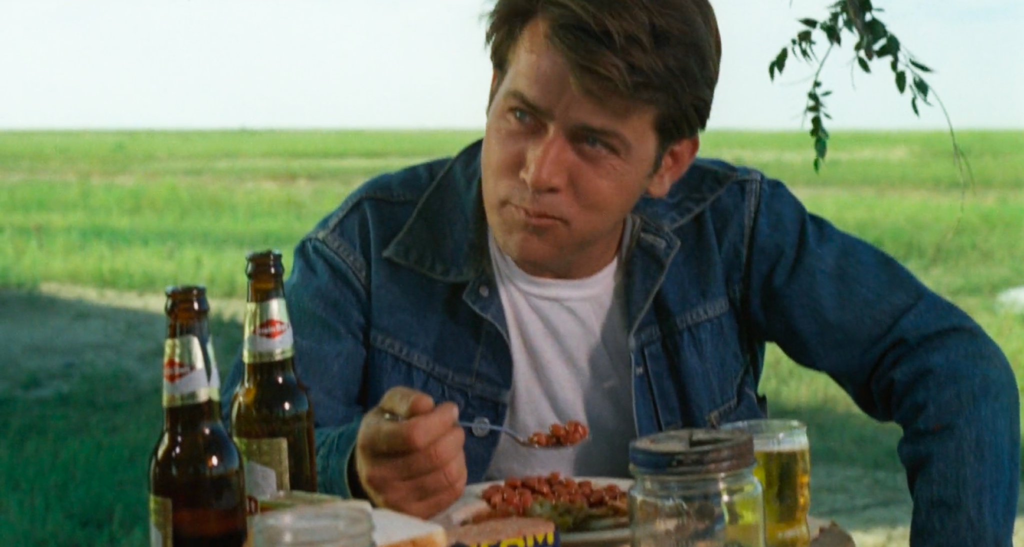 Martin Sheen, Badlands