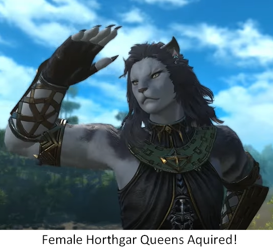Female Hrothgar as a playable race. Show your support! - Page 524