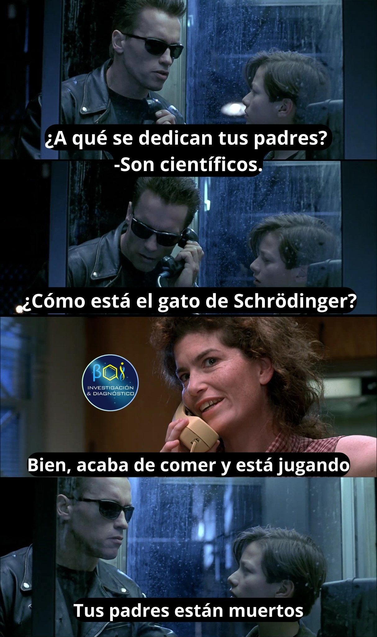 Gato De Schrodinger Memes Freedom For Schroedinger's Cat Wissenschaft