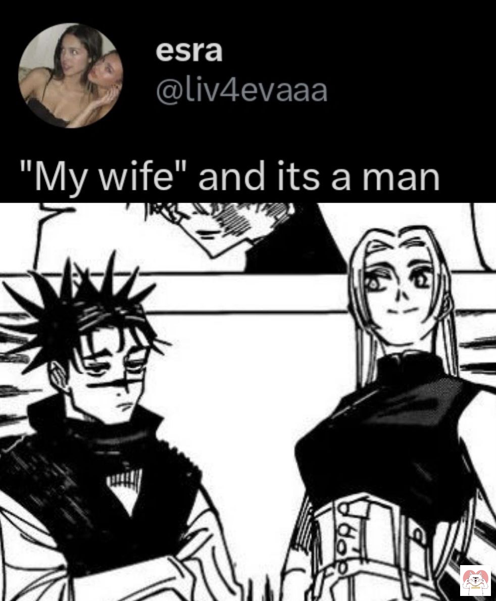 Yuki Memes Me When Yuki Has Food Be Like ........ Cute Cat Standing