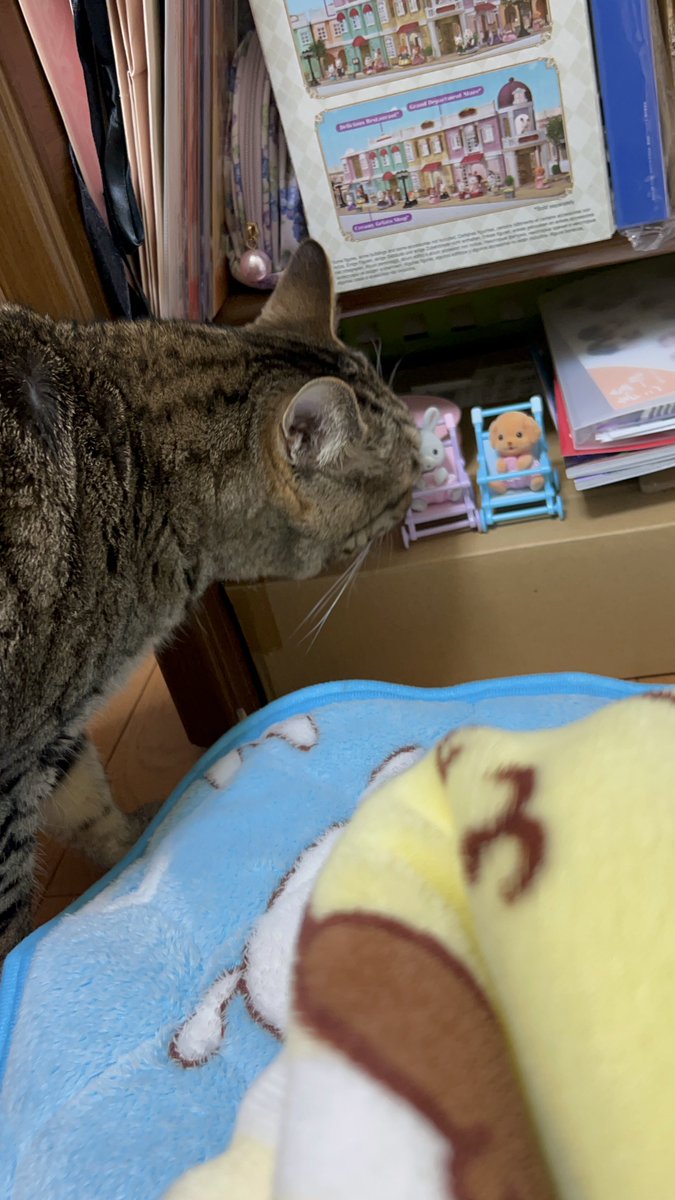 みなと🍩🐻(@mymt_m) - Twilog