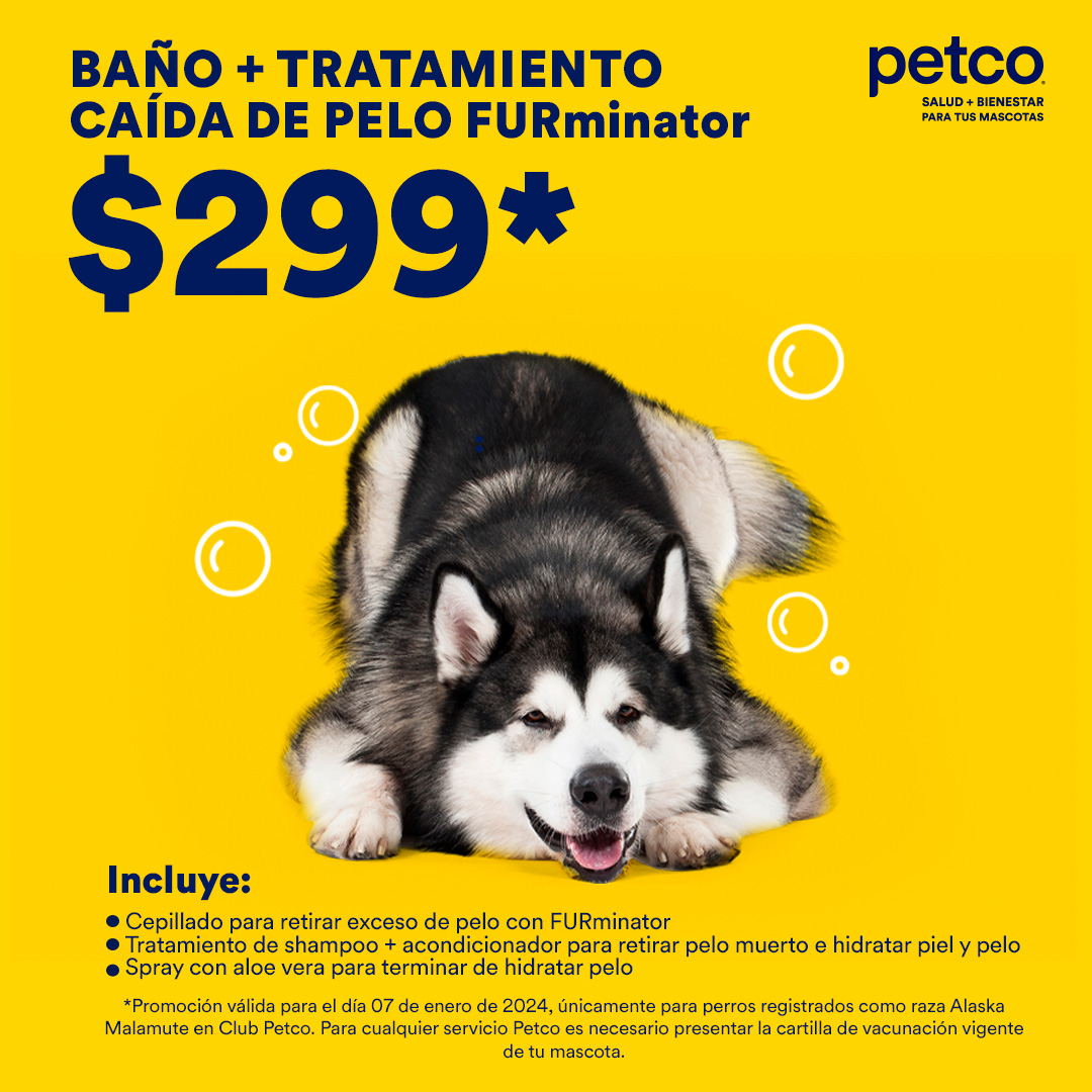 Petco Baña Perros