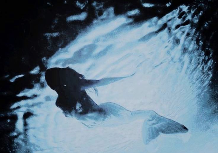 Lorelei Siren Mythology