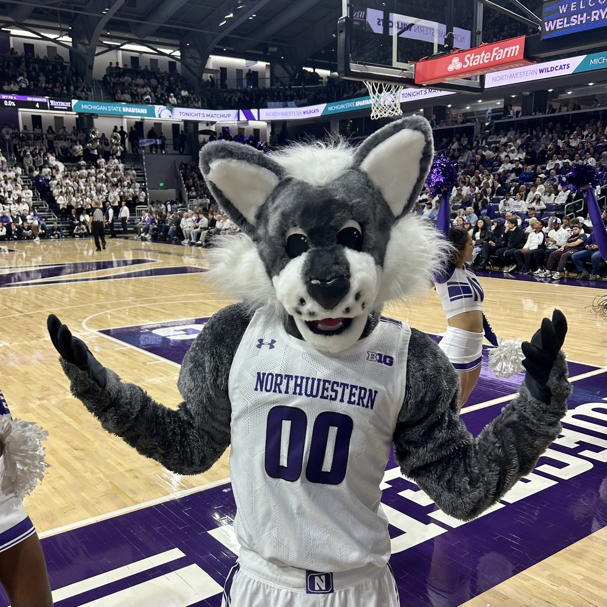 Northwestern Wildcats Mascot Northwestern Wildcats "Mascot With