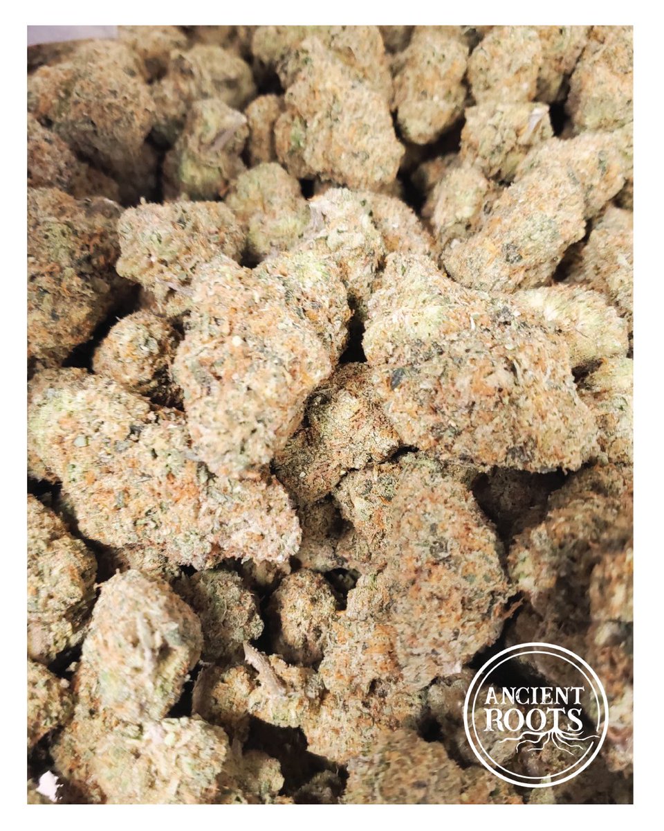 Sunday nights with @AncientRootsOH! “Lemon Kush” craft cannabis flower ...