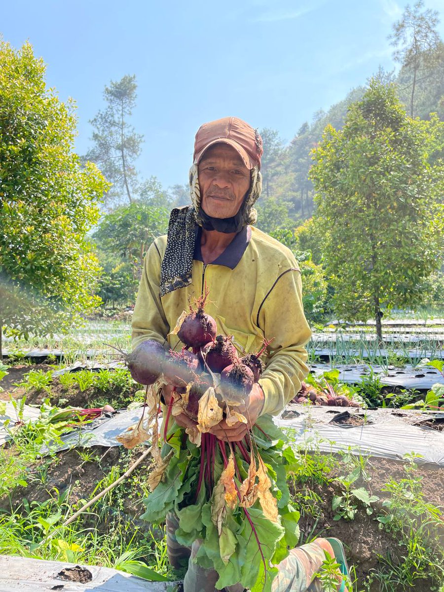 Arif | Jadipossible Business's Threads – Thread Reader App