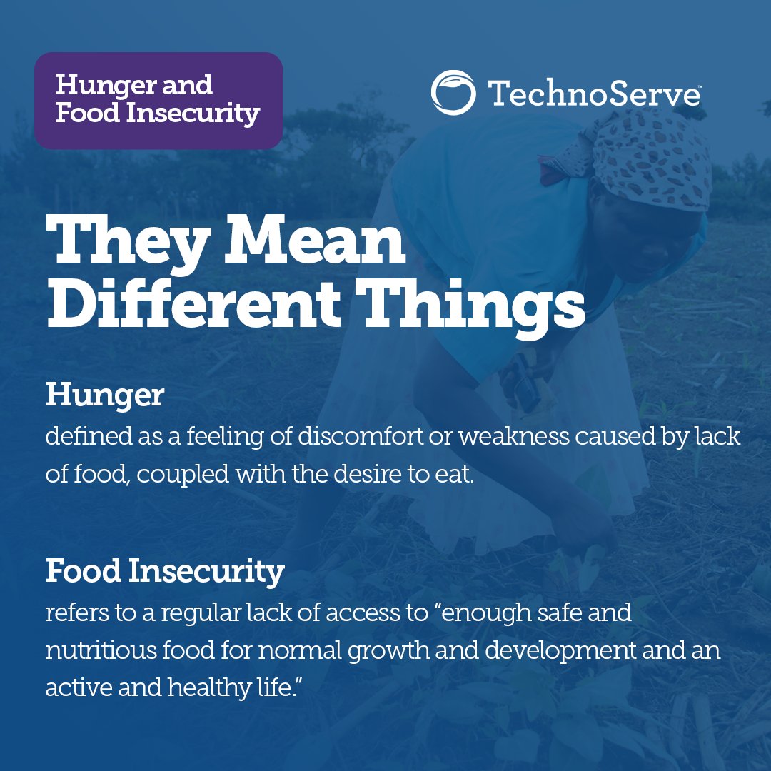 What Is Food Insecurity Mean at Waldo Ross blog
