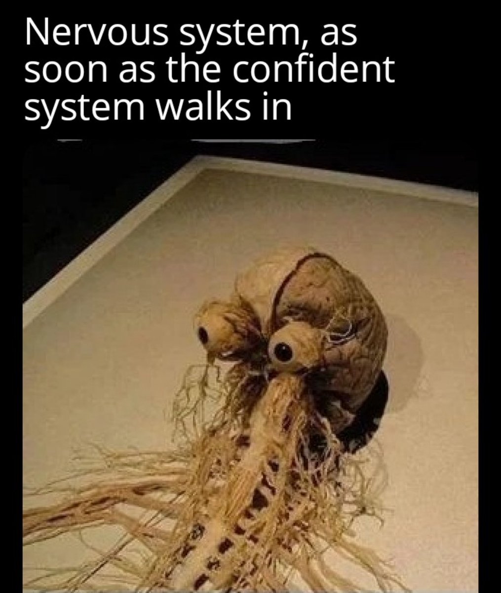 Dont Be Nervous Meme