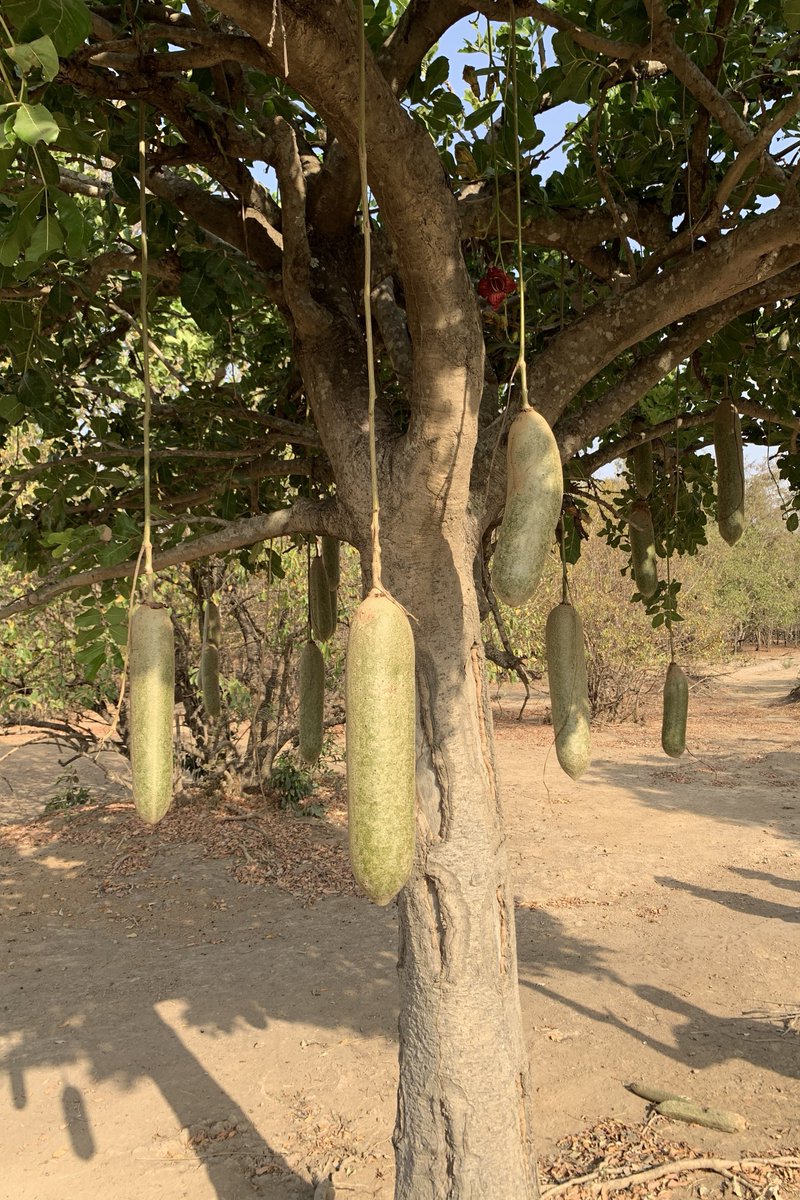 Eran Efrat's Threads – Thread Reader App