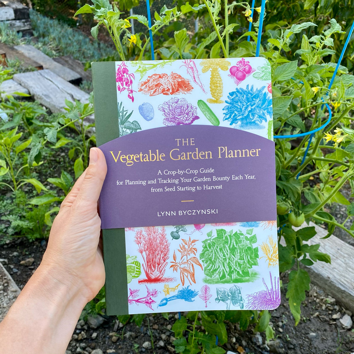 Companion Vegetable Gardening Planner Garden Planner | Sow True Seed
