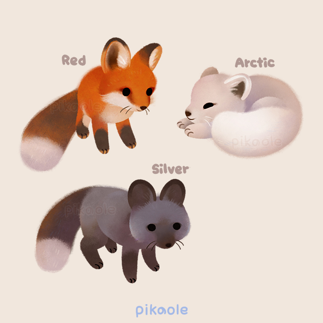 Fox name! https://t.co/hZVIkDaNik
