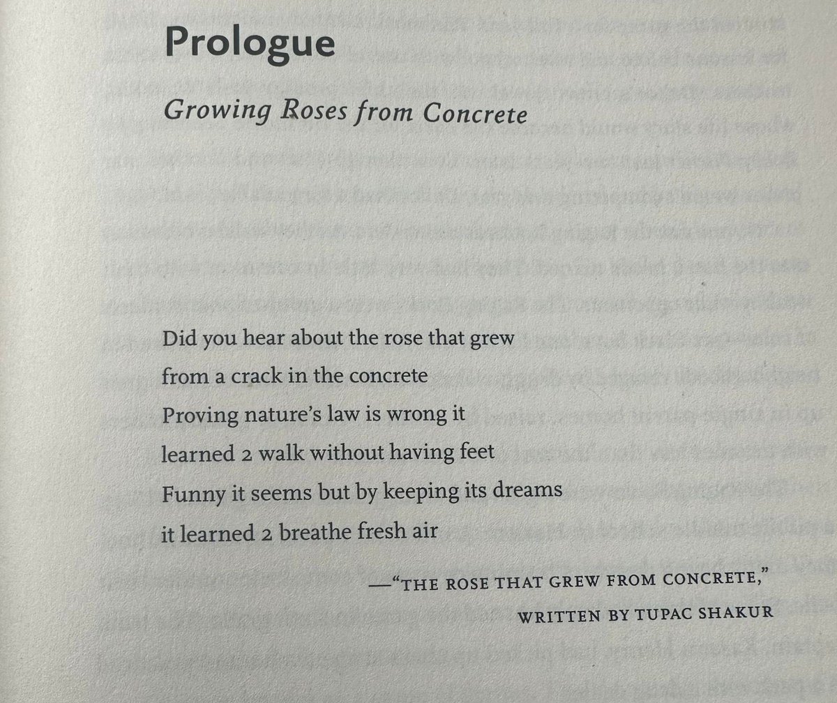 The Rose That Grew From Concrete Book