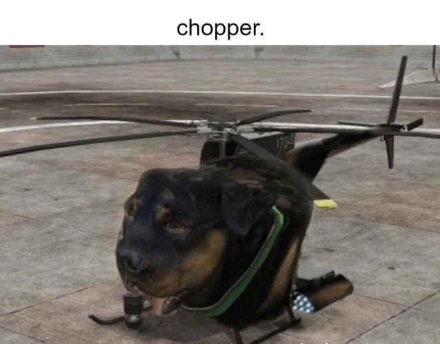 Dog Helicopter Memes