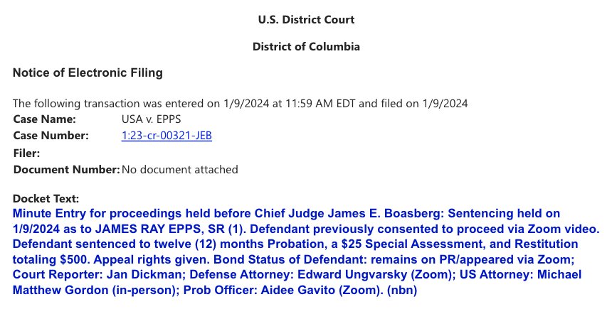 Ray Epps was sentenced by Chief Judge Boasberg to a year of probation for his role in the Jan. 6 ...