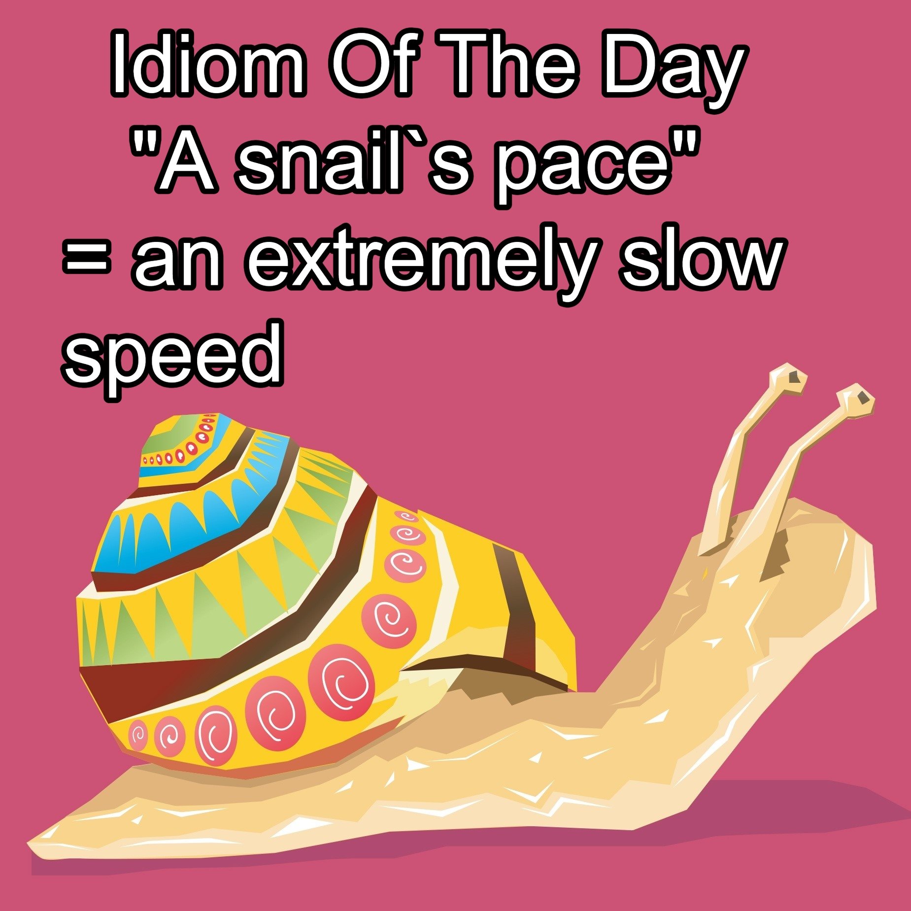 Slow As A Snail Meme Snail Slow GIFs | Tenor