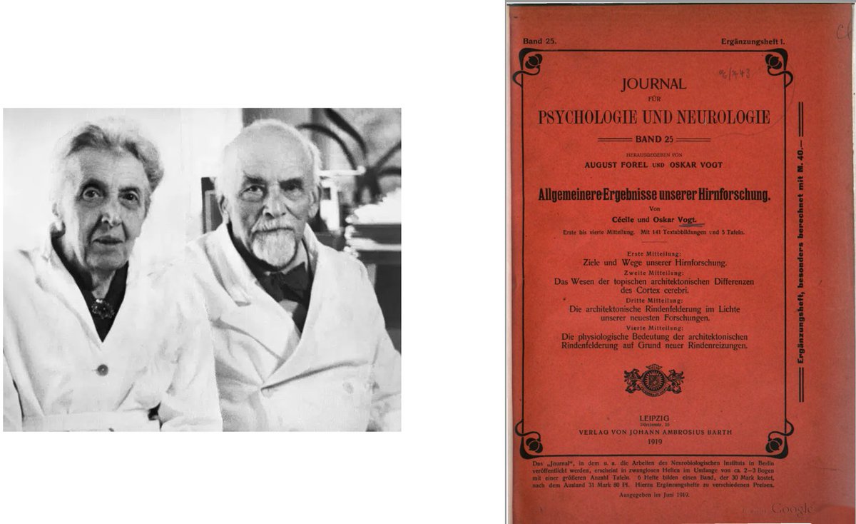SEIZURE SEMIOLOGY #TWEETORIAL #Epilepsy #Seizure #NeuroX 🧵1. What is ...