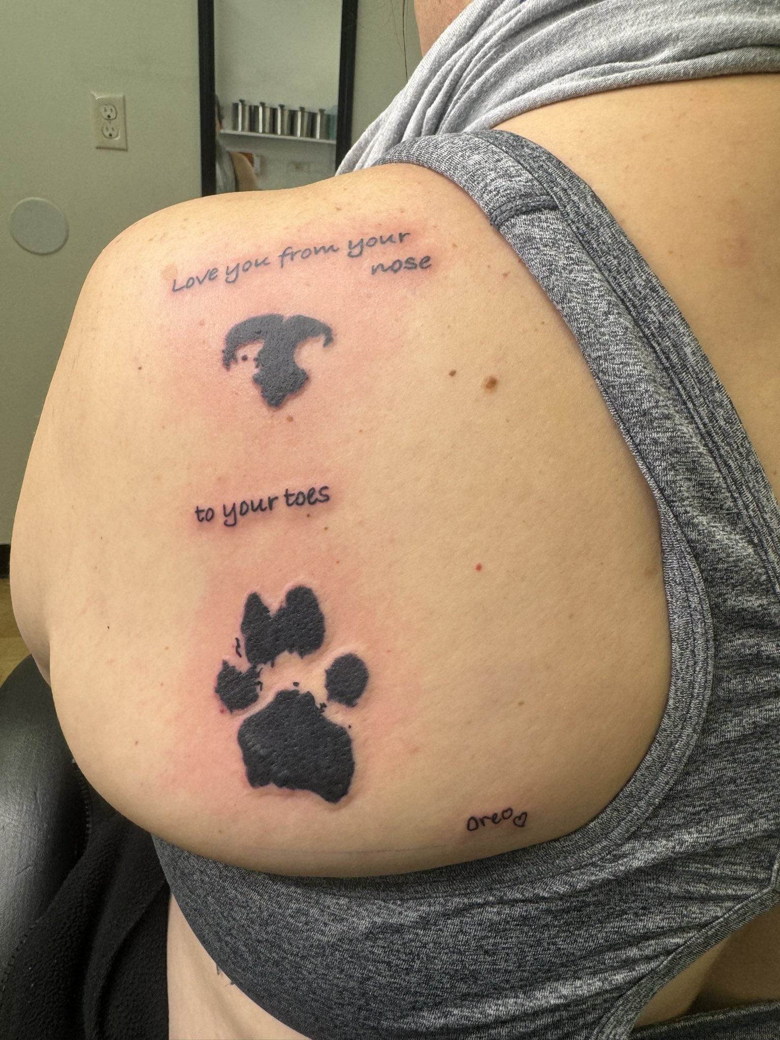 How To Take Dog Nose Print