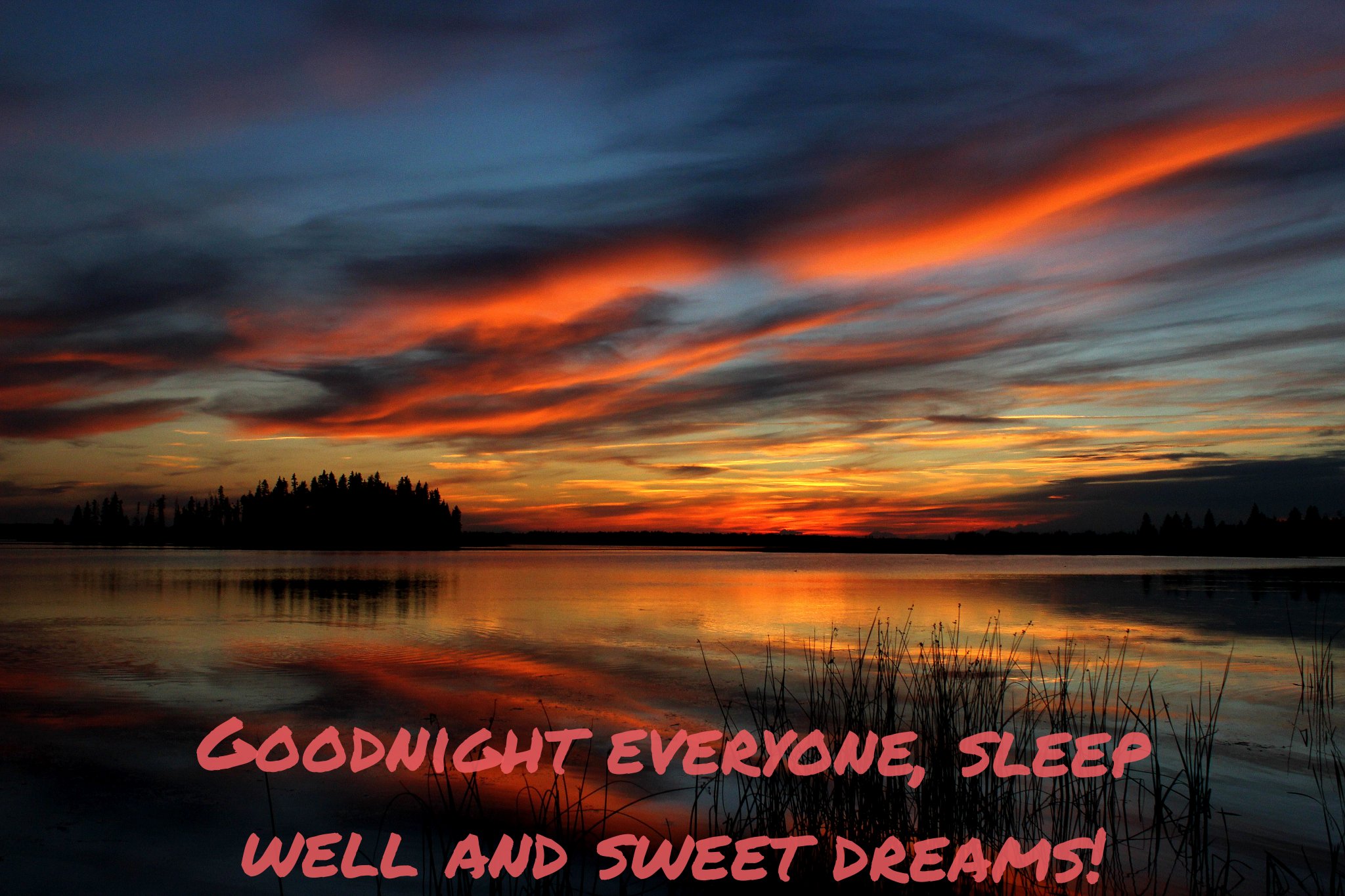 Good Night Everyone Sweet Dreams