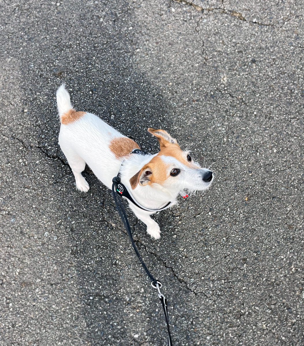 浅野 信二(@asano_shinji) - Twilog