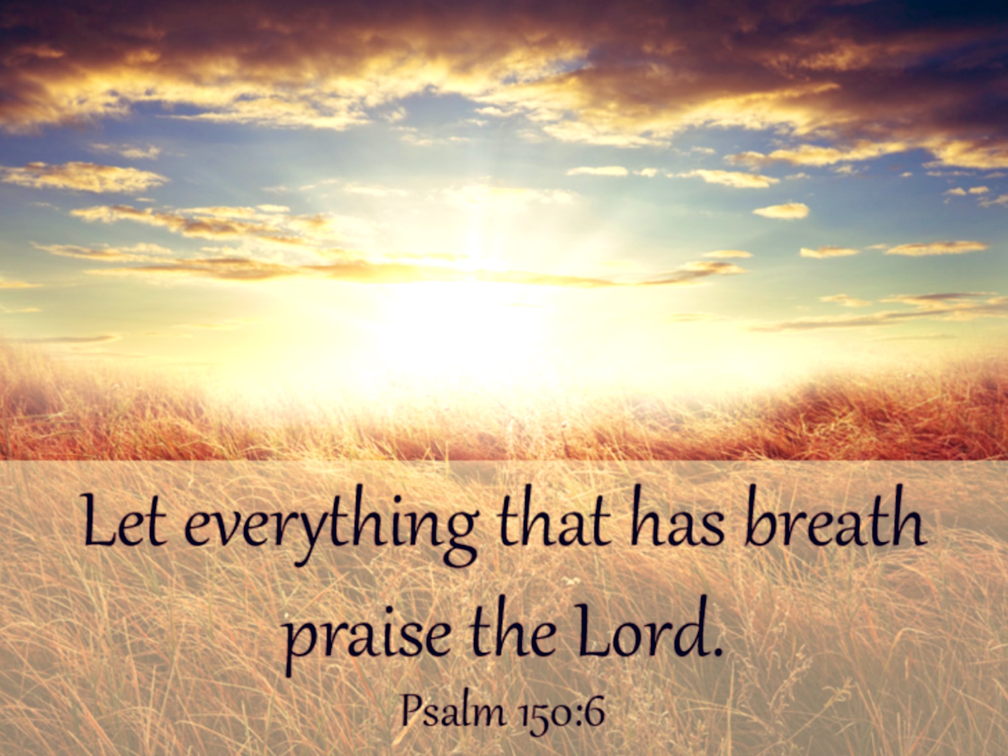 Let Everything That Has Breath Praise The Lord Wallpaper