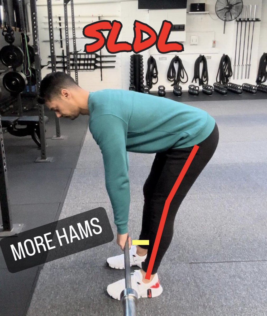 ***SLDL vs RDL: HAMSTRINGS OR GLUTES???*** If you look at the attached ...