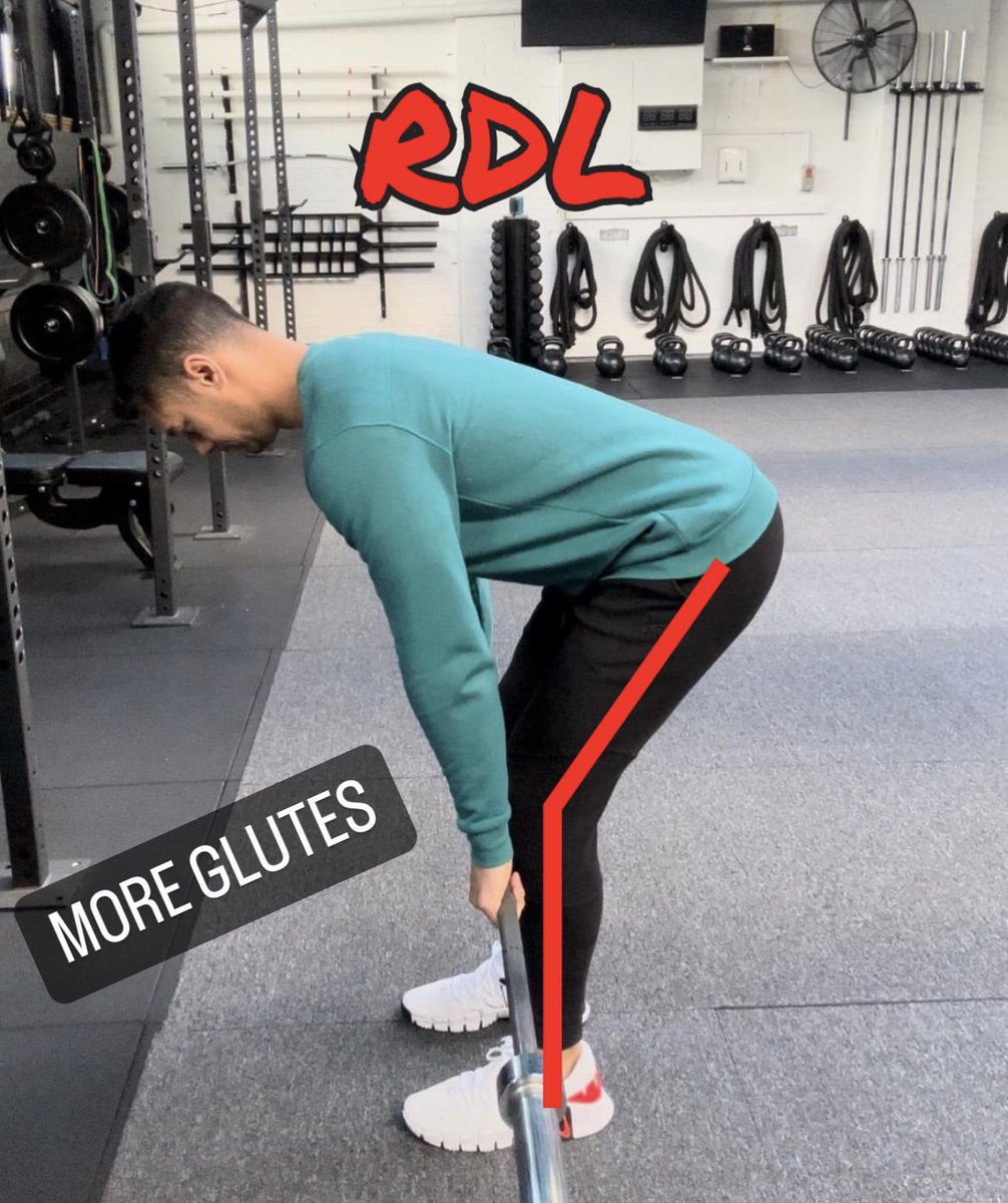 ***SLDL vs RDL: HAMSTRINGS OR GLUTES???*** If you look at the attached ...