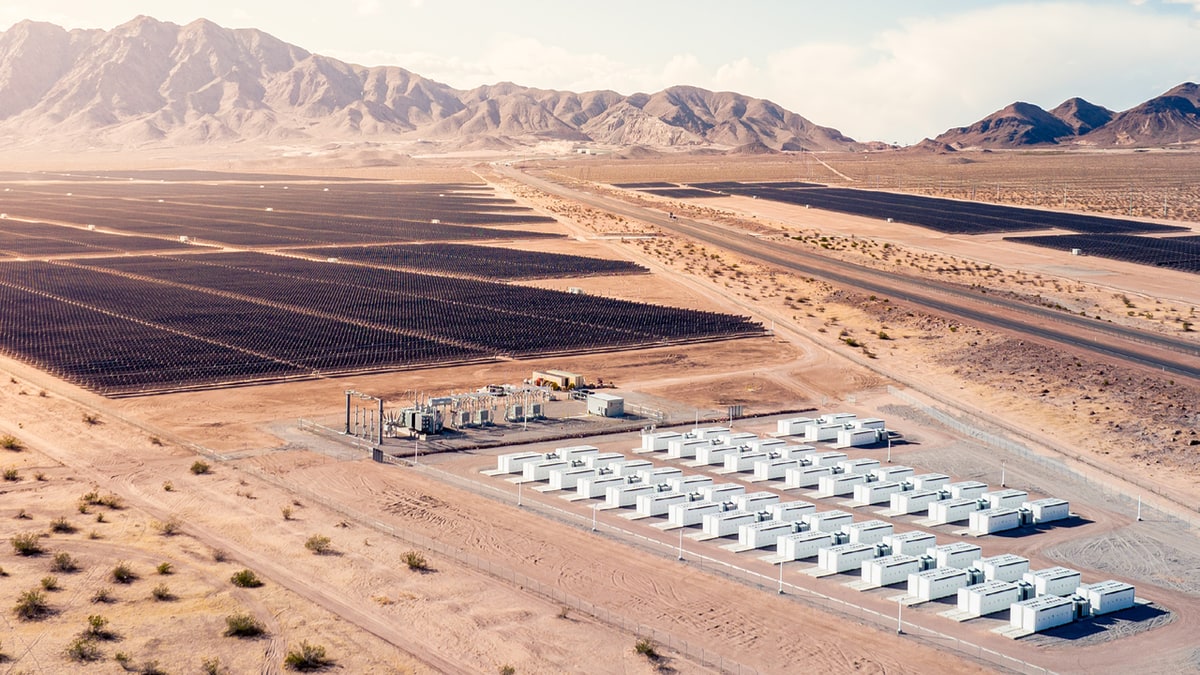 Kikkoman - Peter Fisk