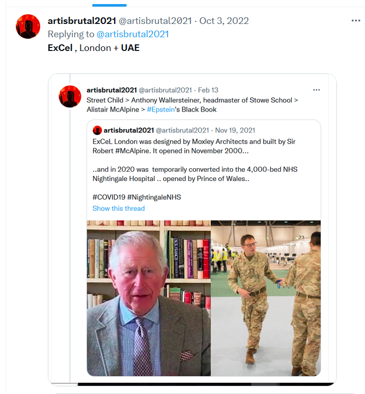 I'm going to go through this guff from the Daily Mail: "Airstrikes on ...