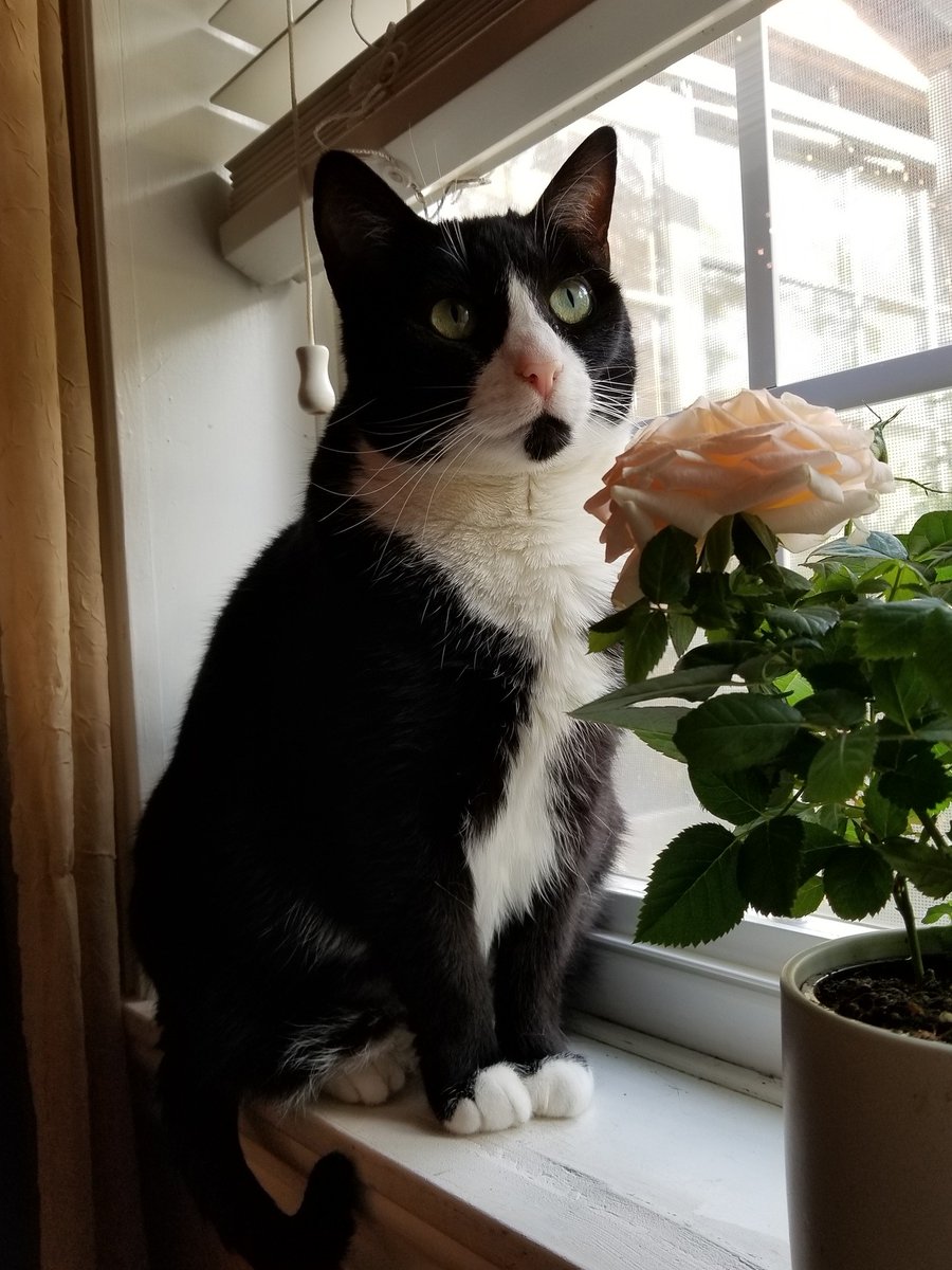 「senshi is the only character that gets this kind of fanservi」dungeon ...