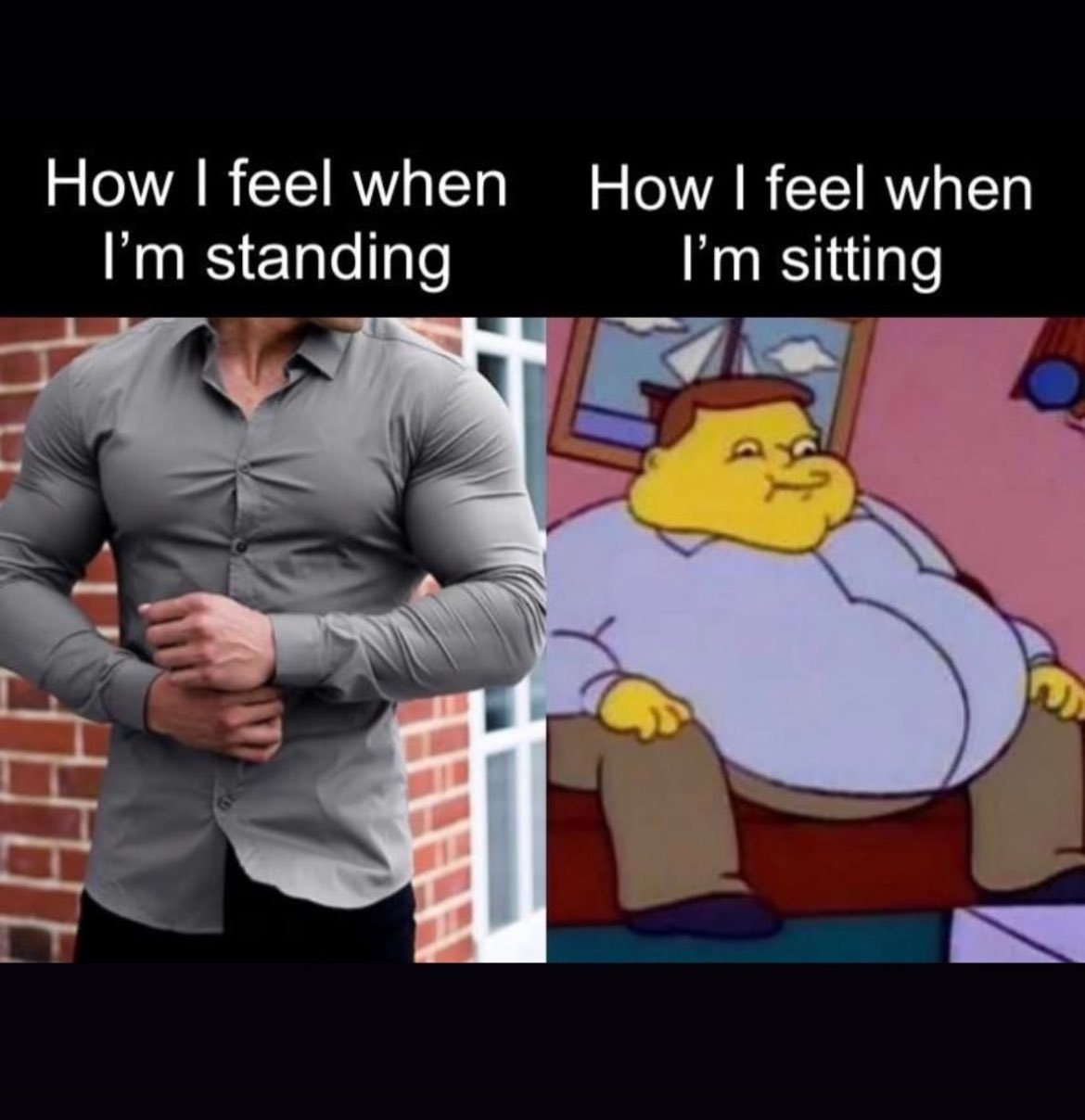 Fit Fat Memes