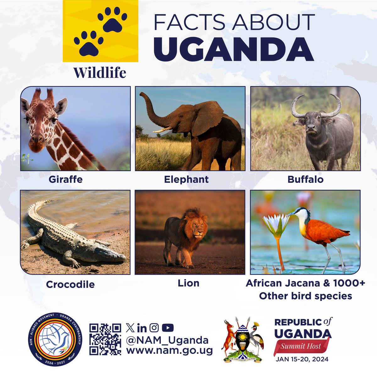Uganda Animal