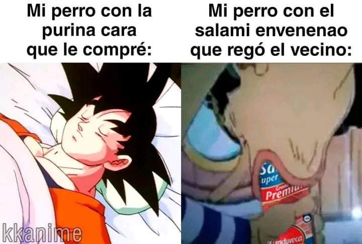 Cara Perro Memes Instagram Photo By @weaspostingcl • Jun 3, 2024 At