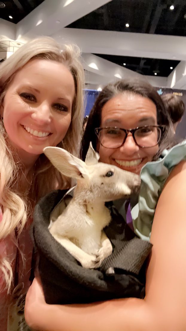 Cassie Solis's Instagram, Twitter & Facebook on IDCrawl