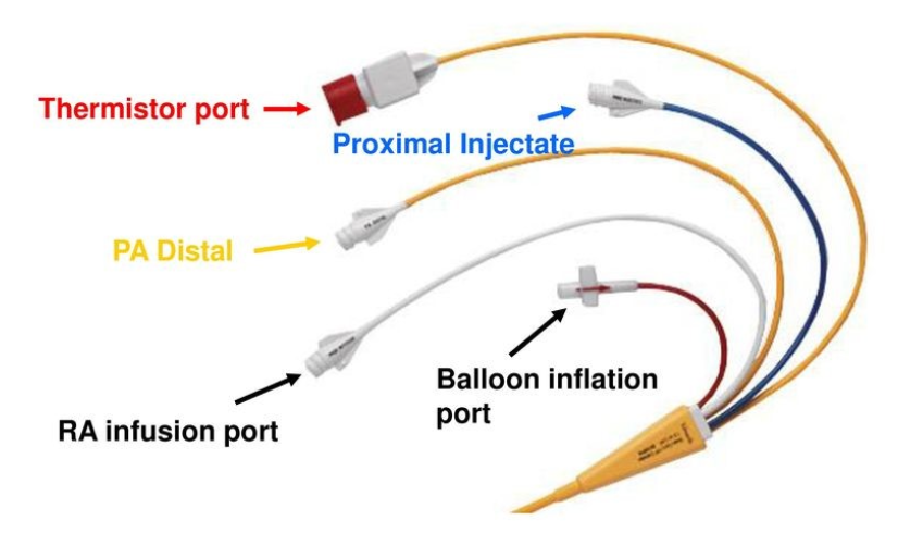 Thread by @IM_Crit_ on Thread Reader App – Thread Reader App