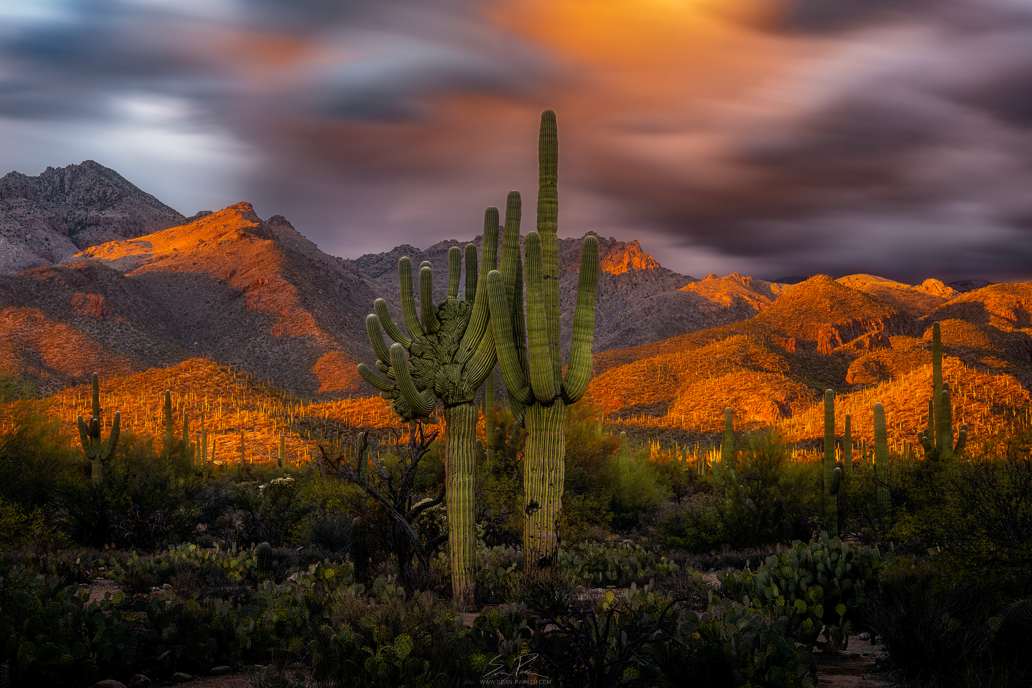 Tucson Arizona Sunset Desktop Backgrounds 16,484 Arizona Desert Sun