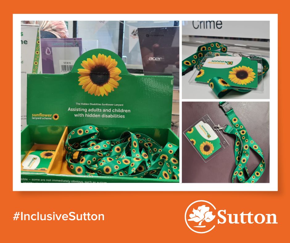 Adult services - Sutton Care Hub